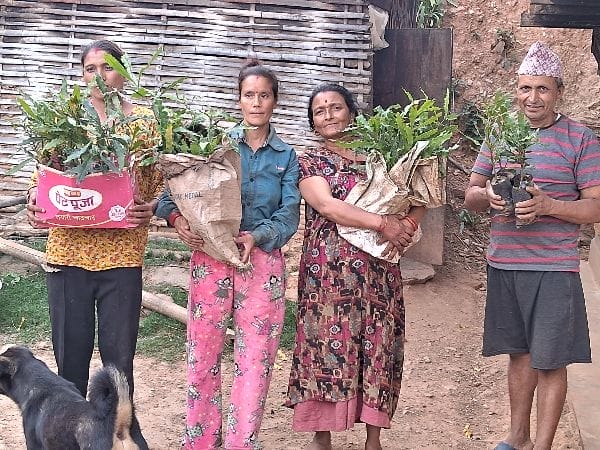 Macadamia Nuts - Changing Lives Nepal